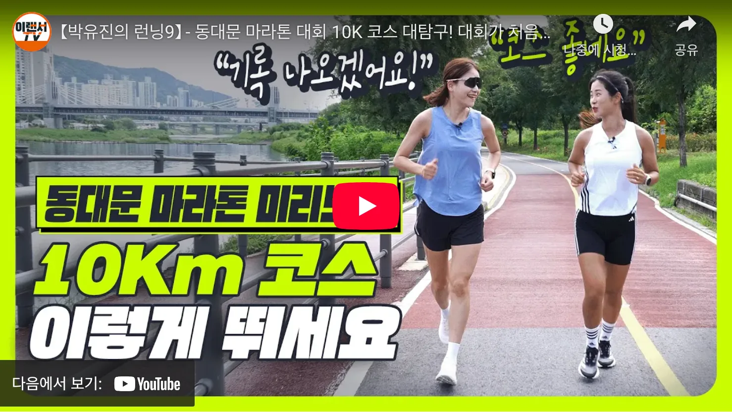 2025 동대문 마라톤 접수 코스 일정 안내 - MyNB