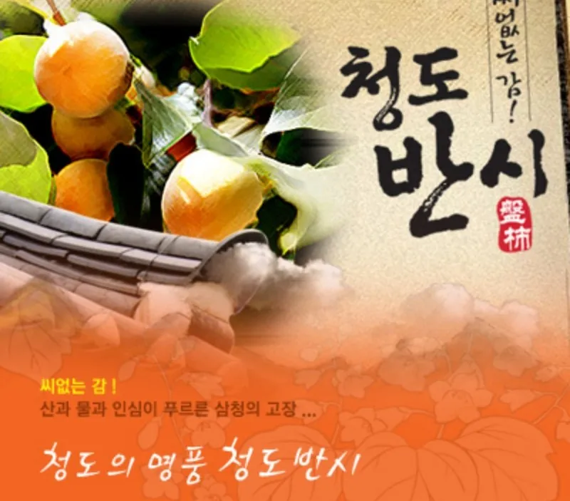 2025 청도 반시 마라톤 접수 코스 일정 안내 - MyNB